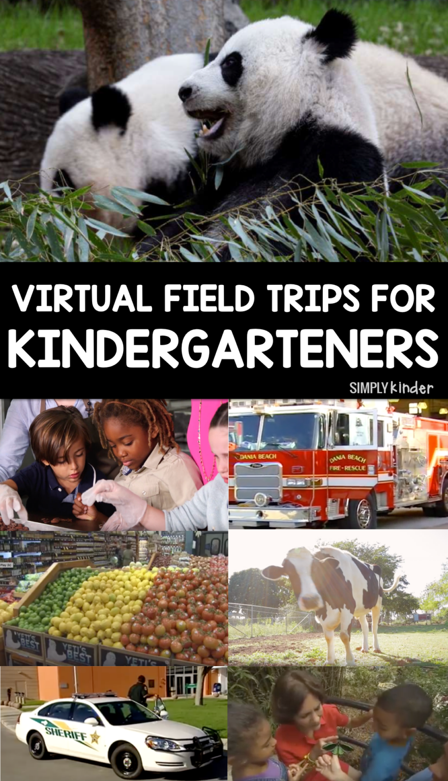 Virtual Field Trips For Kindergarteners - Simply Kinder