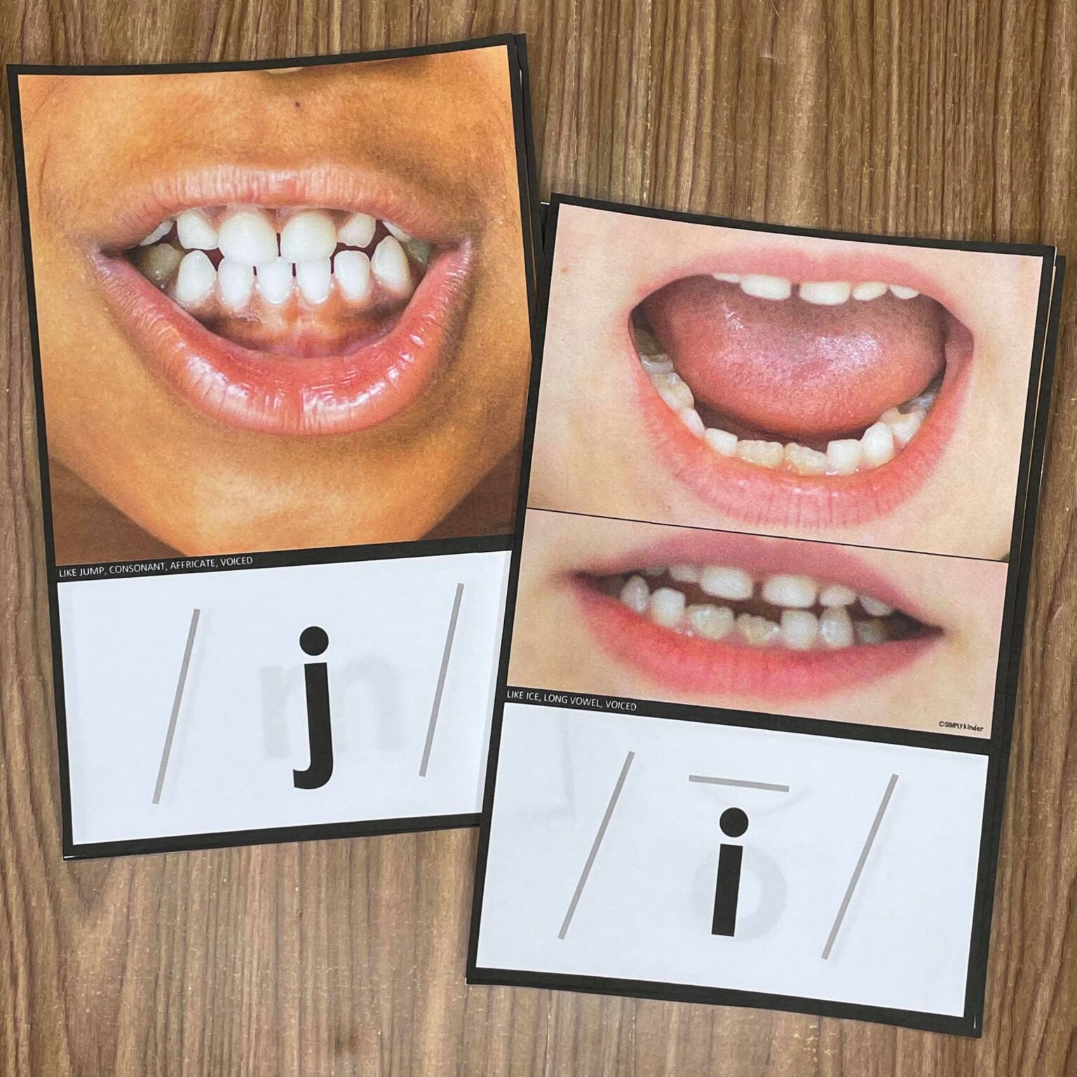 Alphabet Mouth Cards, Articulation Photos w/ Real Photos, Science of ...