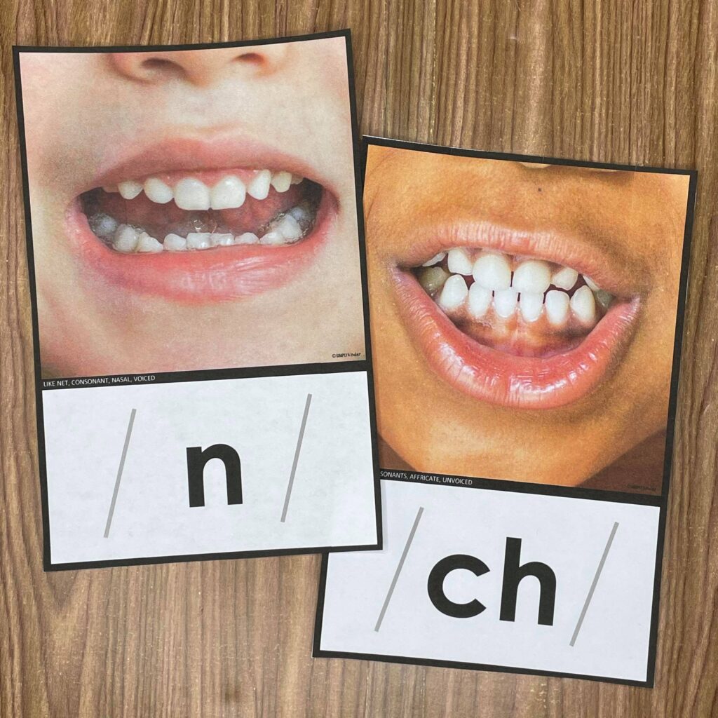 Alphabet Mouth Cards, Articulation Photos w/ Real Photos, Science of ...