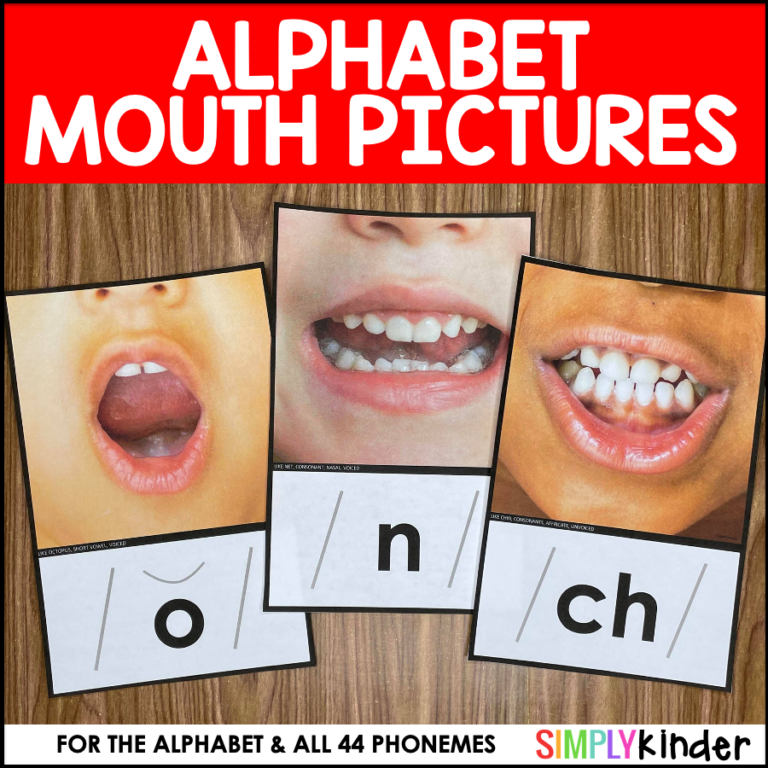 Alphabet Mouth Cards, Articulation Photos w/ Real Photos, Science of ...