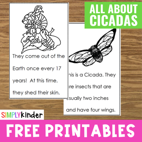 All About Cicadas Book: Free Easy Reader - Simply Kinder