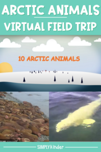 Arctic Animals Virtual Field Trip - Simply Kinder