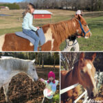 Farm Virtual Field Trip - Simply Kinder