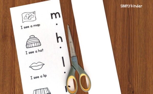 Free Printable Word Family Book Early Readers Will Love - Simply Kinder