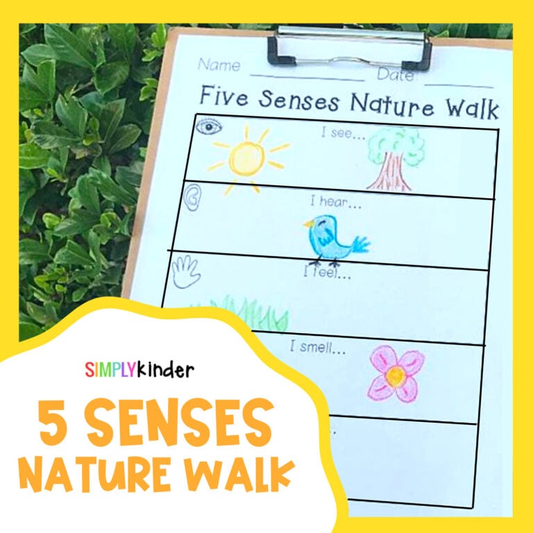Five Senses Nature Walk - Simply Kinder