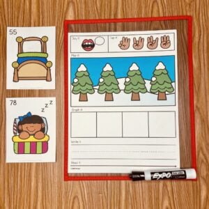 Winter Word Mapping | Orthographic Mapping | Science of Reading ...