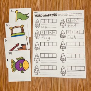 Winter Word Mapping | Orthographic Mapping | Science of Reading ...