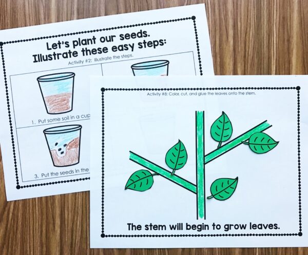 Spring STEM Activity for Kindergarten & Free Printable - Simply Kinder
