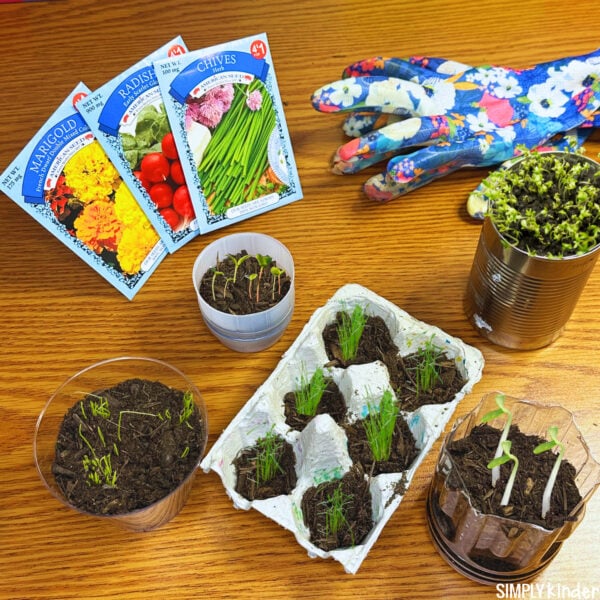 Fun Earth Day Planters Activity for Kindergarten - Simply Kinder