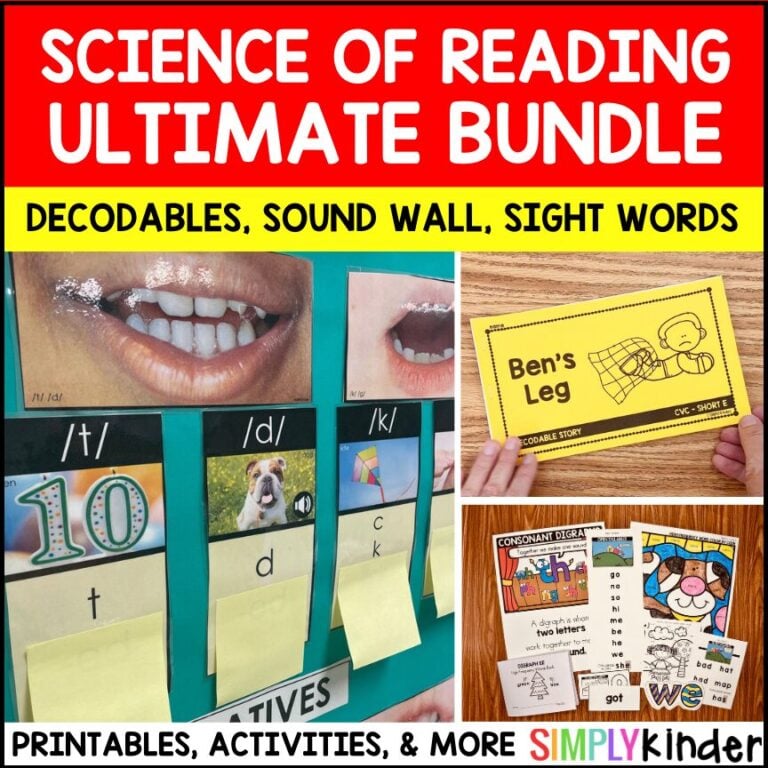 Sub Plans Bundle with Templates, Emergency Sub Plans, Sub Binder, Sub ...