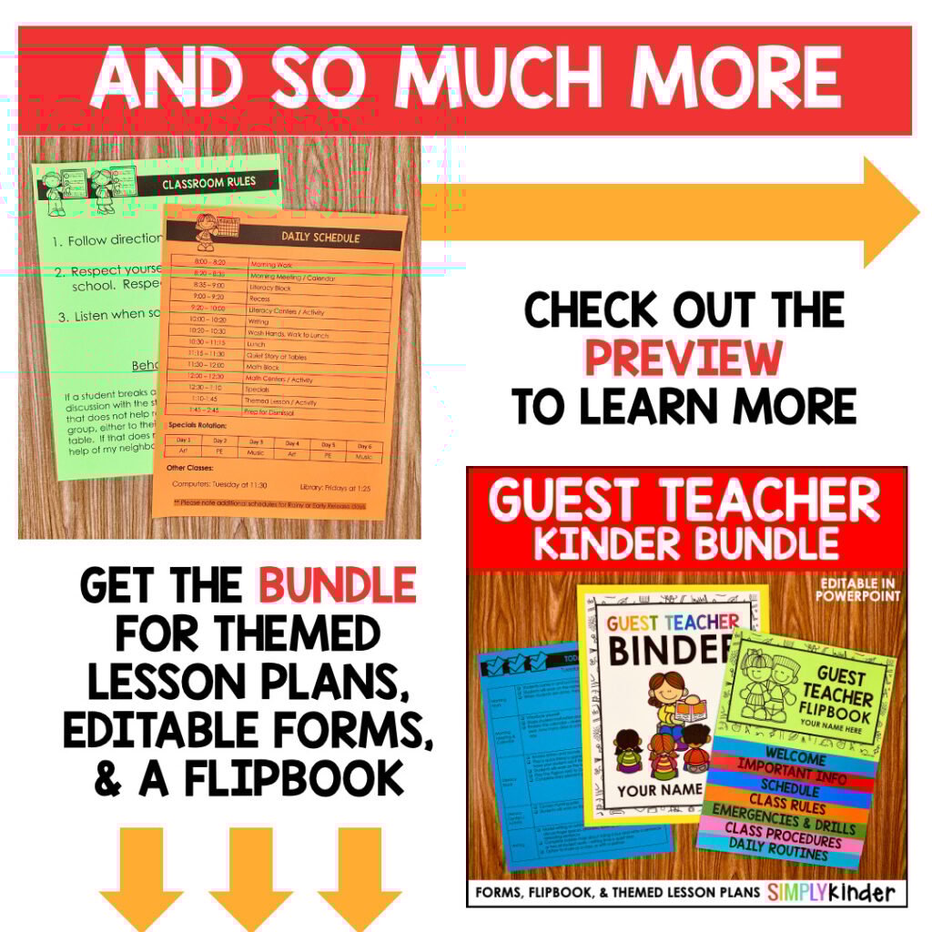 Editable Sub Binder, Substitute Binder for Kindergarten & First Grade ...