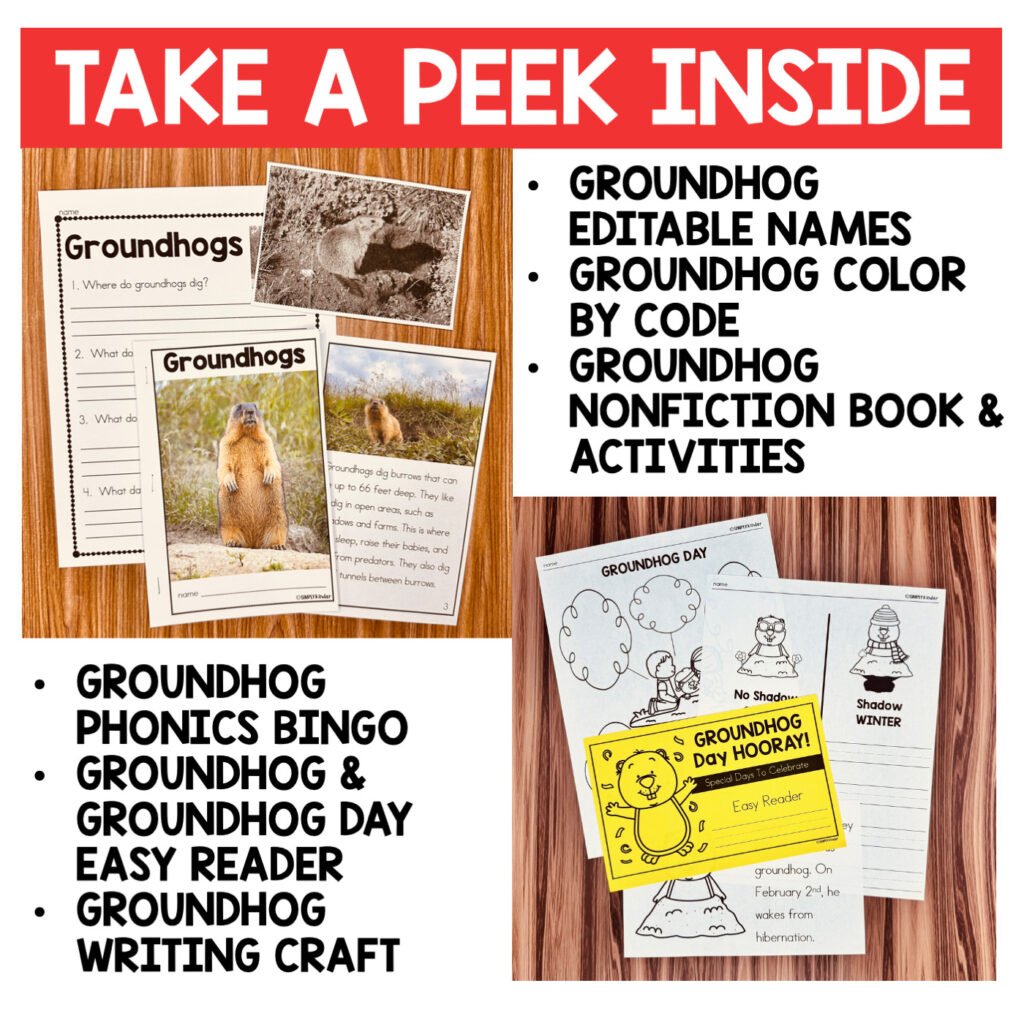 Groundhog Day Activity Bundle, Crafts, Readers, Writing, Bulletin ...