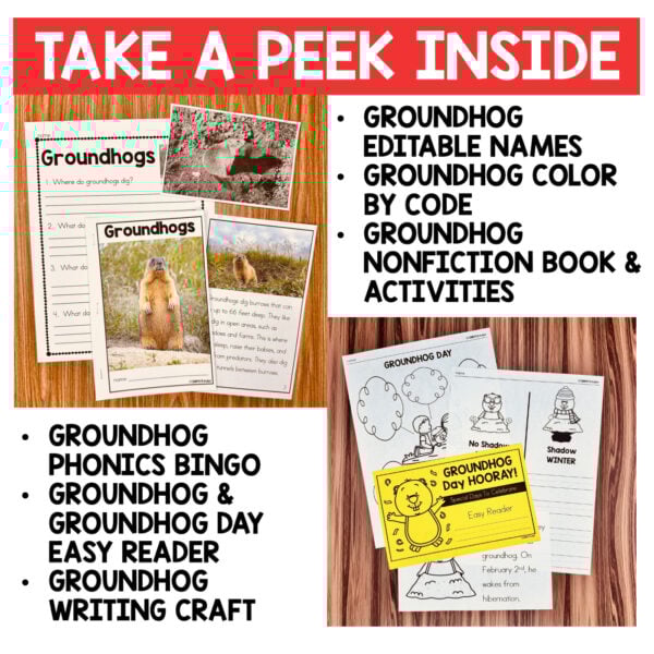 Groundhog Day Activity Bundle, Crafts, Readers, Writing, Bulletin ...