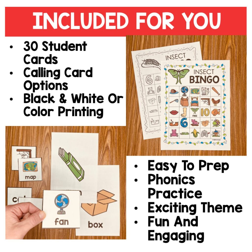 Insect & Bugs CVC Phonics BINGO for Spring Activities for Kindergarten ...