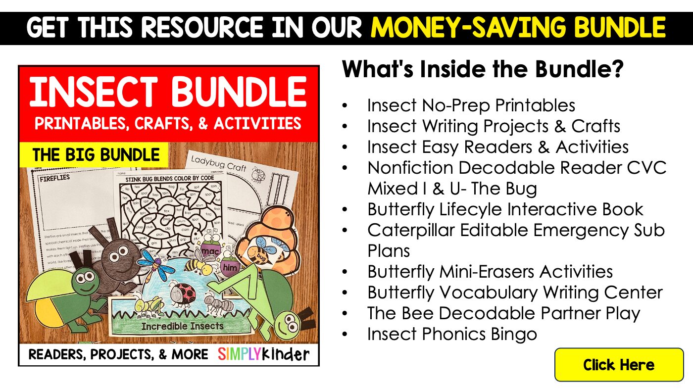 The Bug CVC Decodable Nonfiction Reader with Word Work Activities ...