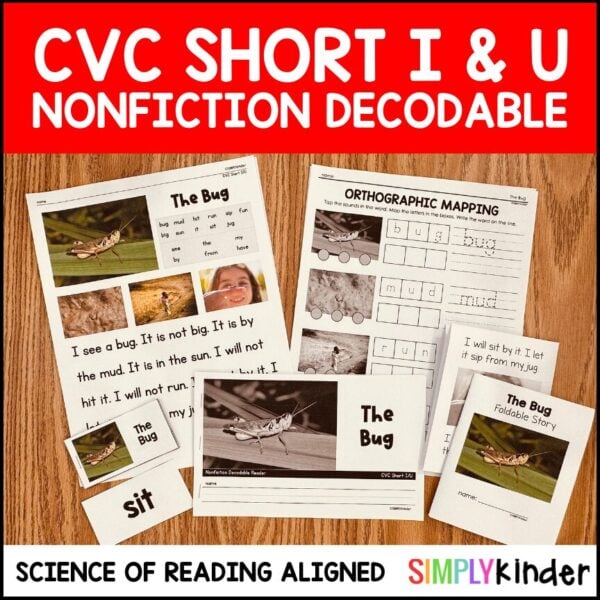 The Bug CVC Decodable Nonfiction Reader with Word Work Activities ...