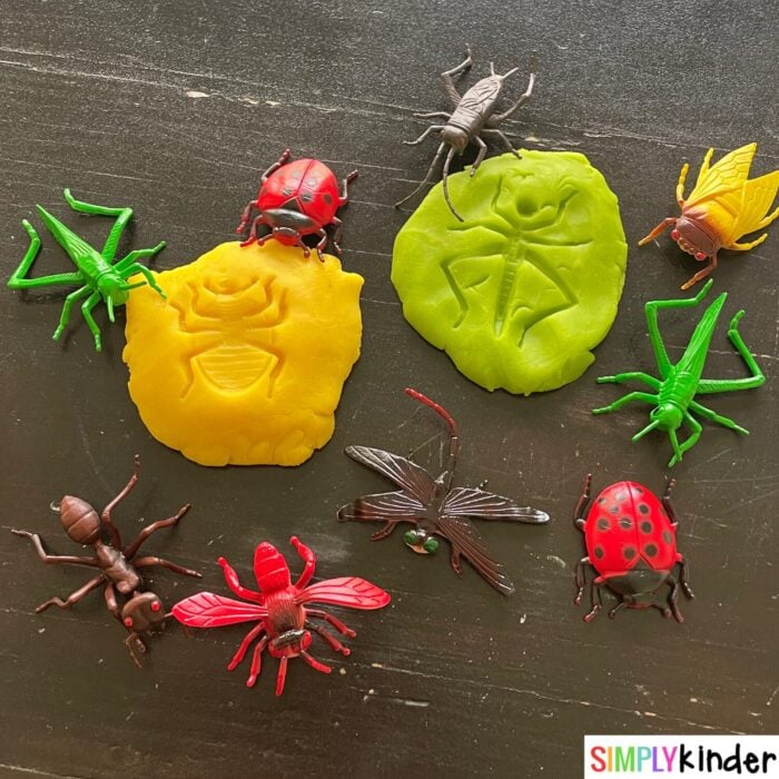 Insect Classroom Activities for Kindergarten - Simply Kinder