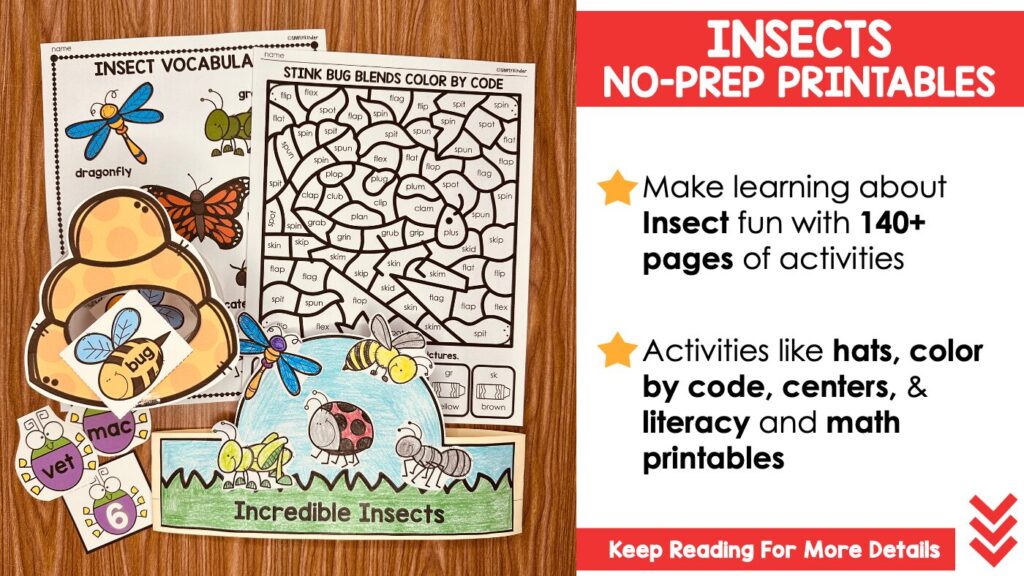 Insect & Bugs No Prep Activities for Kindergarten, Crafts, Printables ...