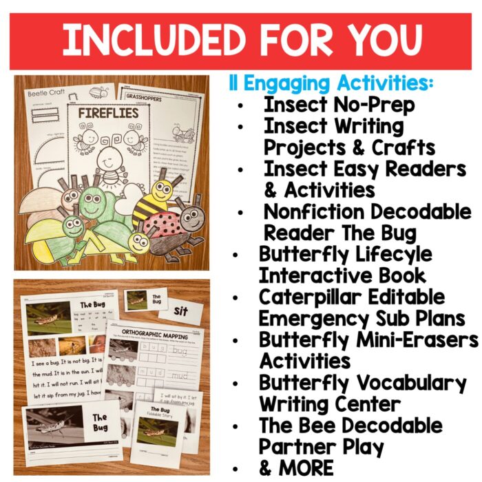Insects & Bugs MEGA Activities: Crafts, Printables, Readers, Centers ...