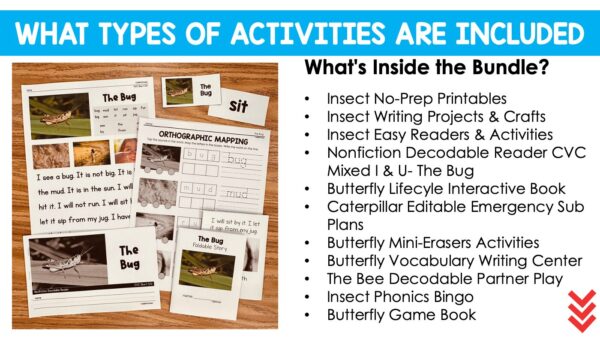 Insects & Bugs MEGA Activities: Crafts, Printables, Readers, Centers ...