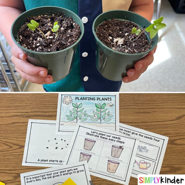 Spring Read Aloud Books and Activities - Simply Kinder