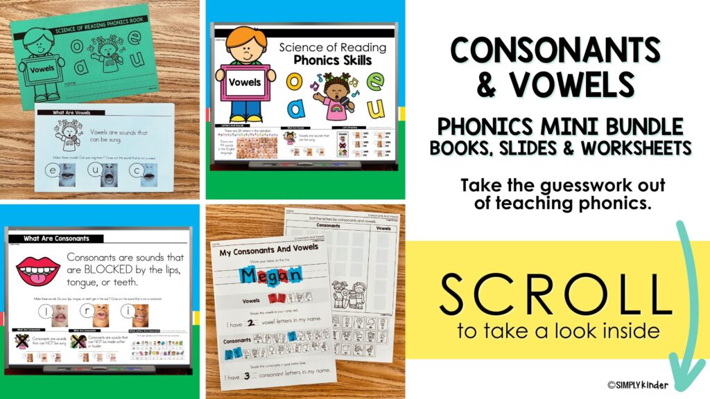 Consonants and Vowels Worksheets, Book, and Teaching Slides Phonics ...