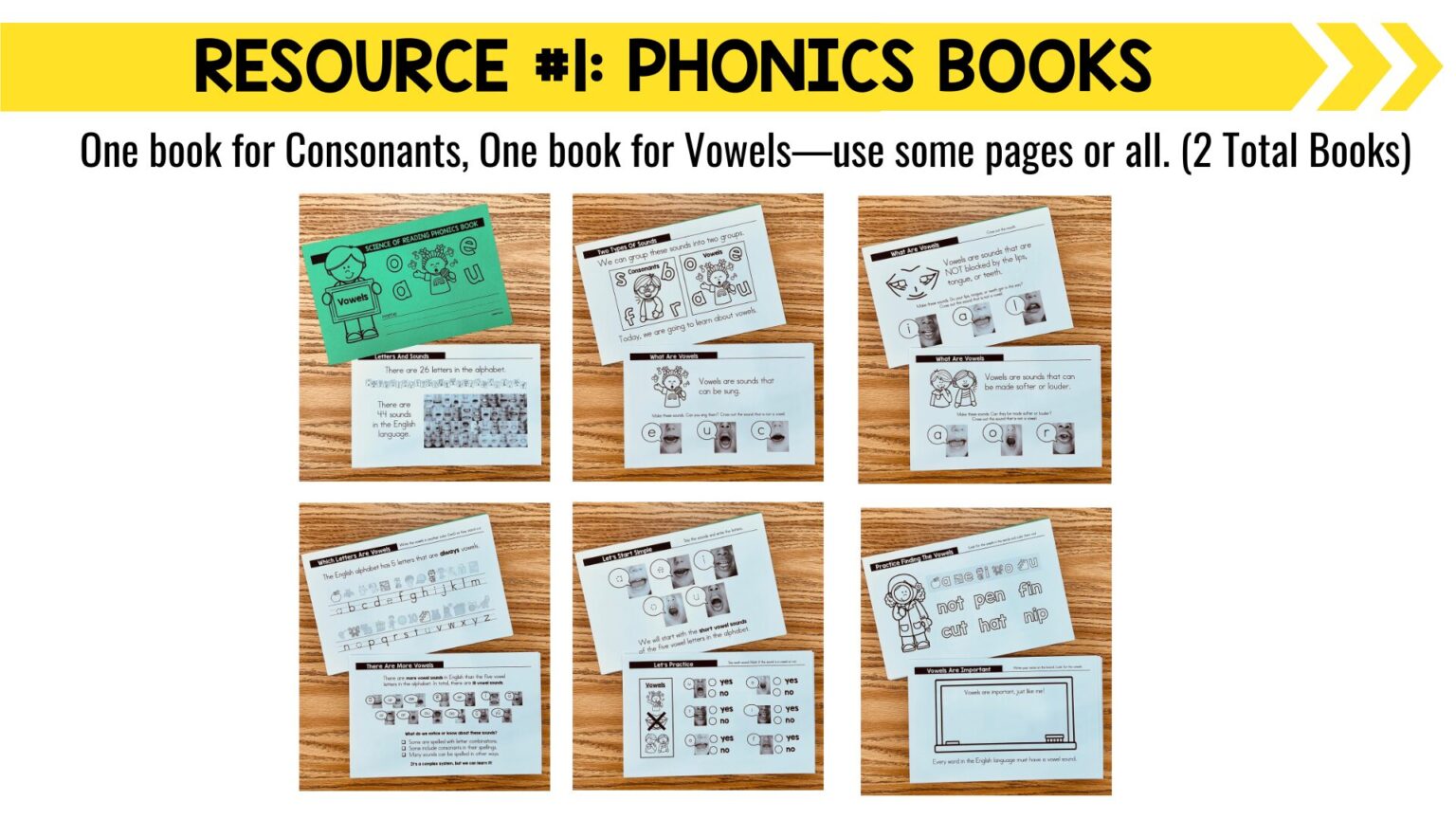 Consonants and Vowels Worksheets, Book, and Teaching Slides Phonics ...