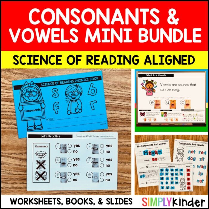 Consonants and Vowels Worksheets, Book, and Teaching Slides Phonics ...