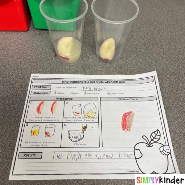 Apple Activities for Kindergarten - Simply Kinder