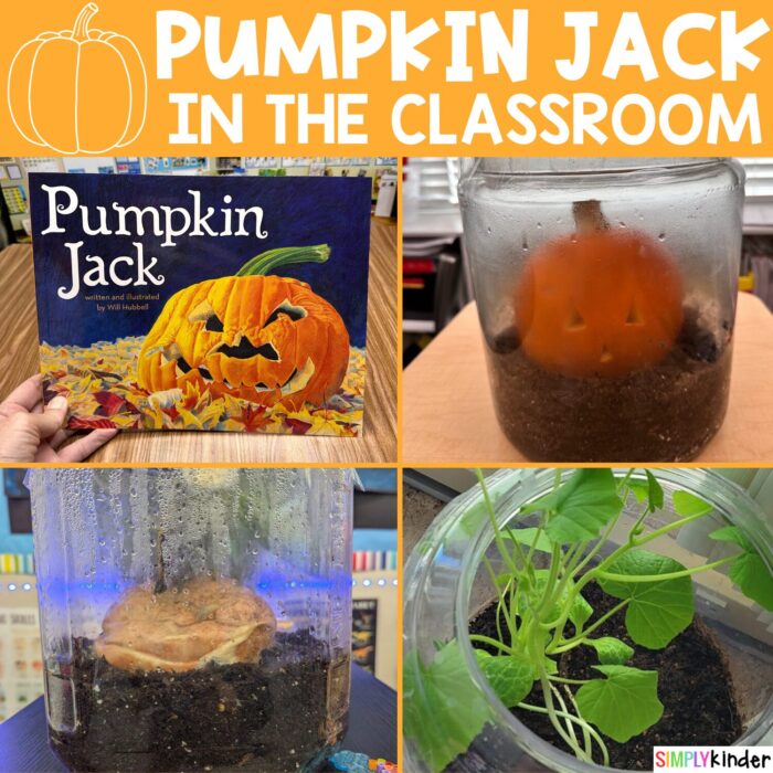 Pumpkin Jack in the Classroom - Simply Kinder