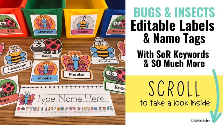 Bugs & Insects Spring Name Tags Labels Editable, Desk Name Tag ...