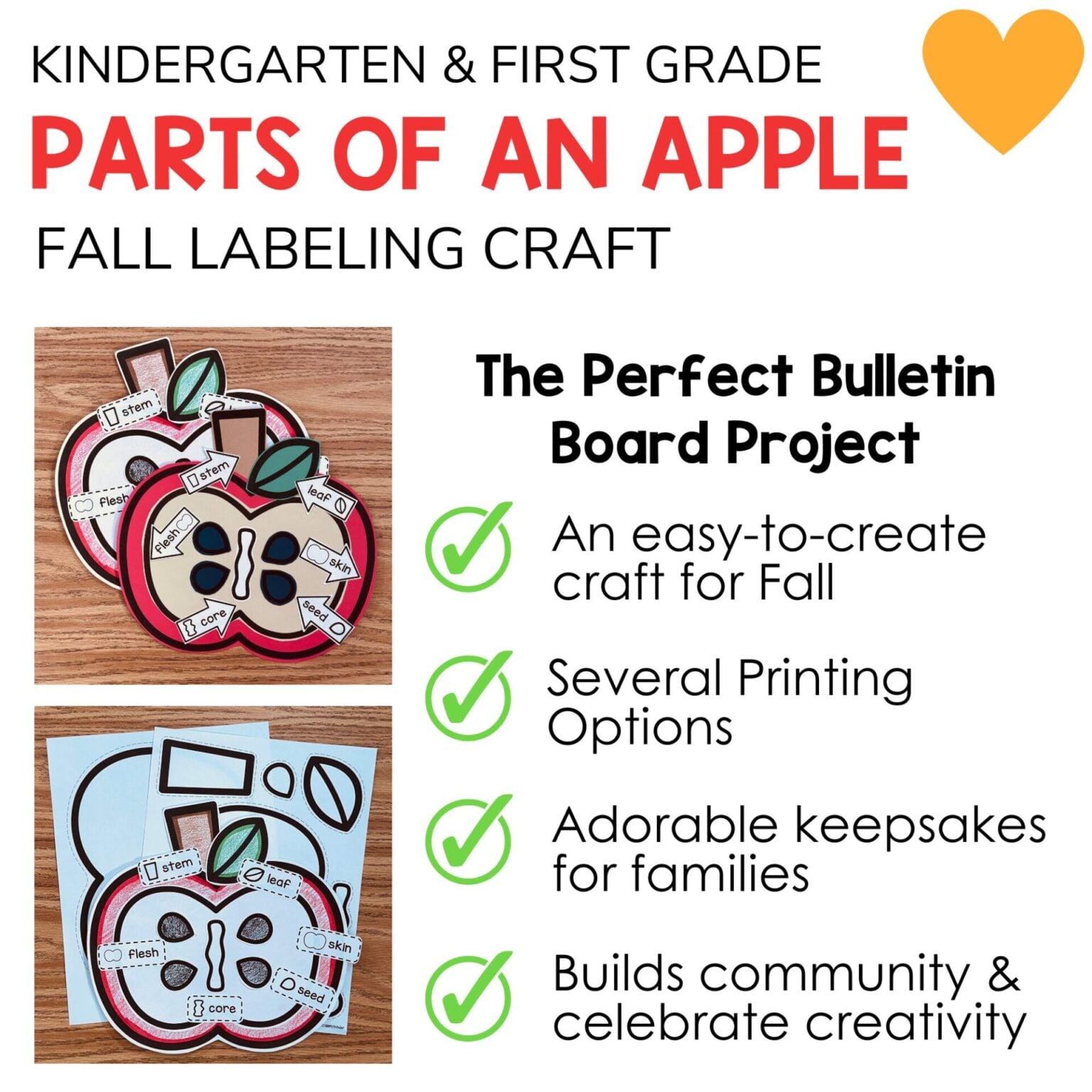 Apple Craft for Fall Bulletin Boards, Parts of An Apple Labeling STEM ...