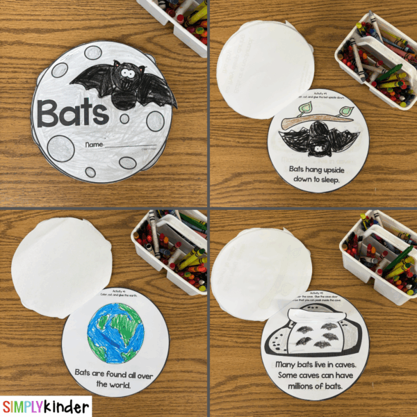 Bat Theme Day - Simply Kinder
