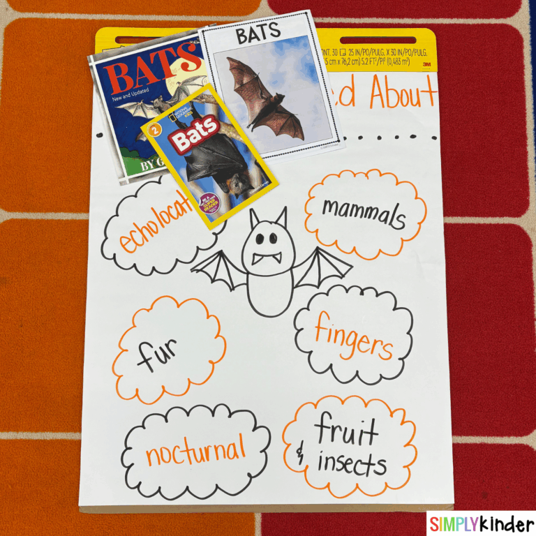 Bat Theme Day - Simply Kinder