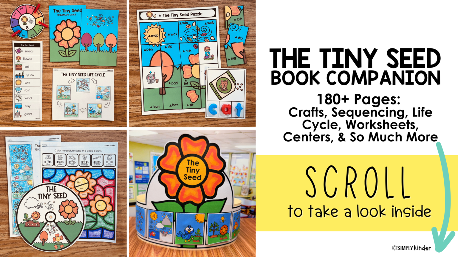 The Tiny Seed Book Companion Activities, Craft, Sequencing, Writing ...