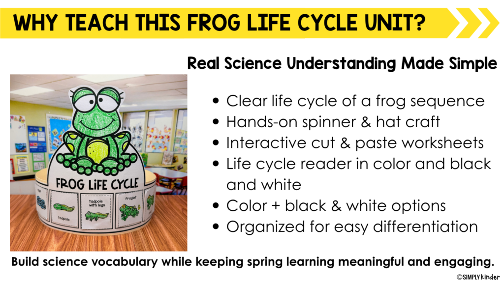 Frog Life Cycle Activities, Life Cycle of a Frog Reader, Worksheet ...