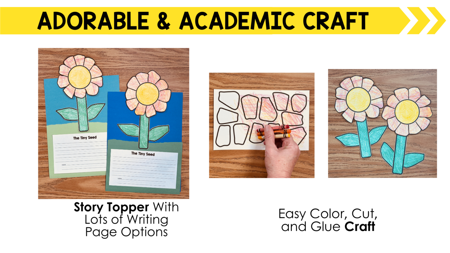 The Tiny Seed Book Companion Activities, Craft, Sequencing, Writing ...