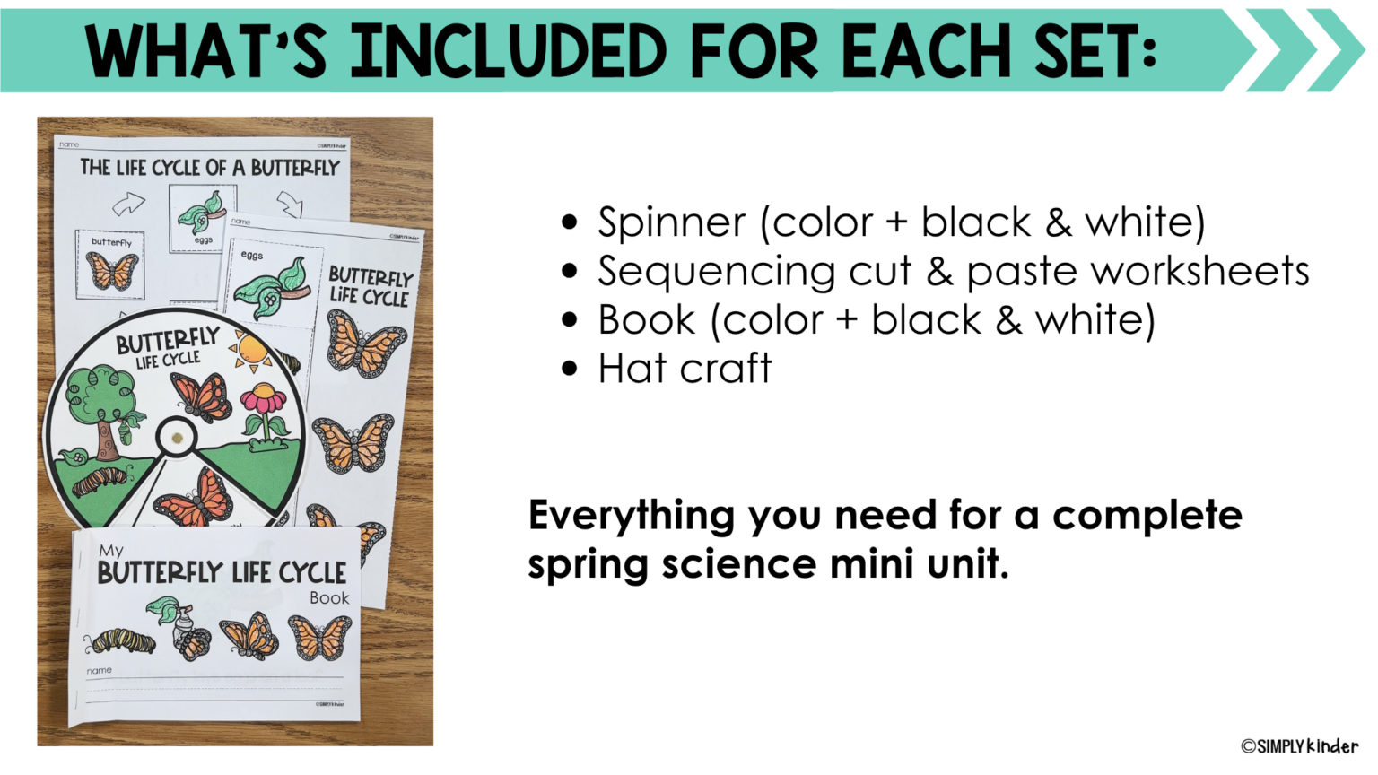 Life Cycle Activities, Plant, Butterfly, Bee, Frog, Preschool, K-1 ...