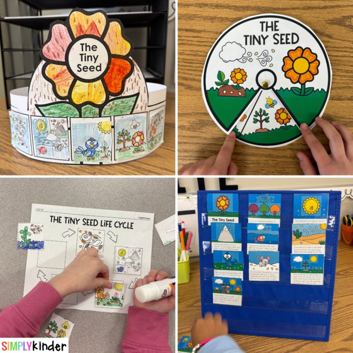 The Tiny Seed Book Companion Activities - Simply Kinder
