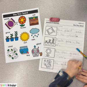 The Tiny Seed Book Companion Activities - Simply Kinder